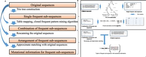 A Schematic Diagram For The Algorithm Description A A Concise