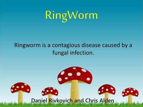 Ppt Ringworm Powerpoint Presentation Free Download Id2373081