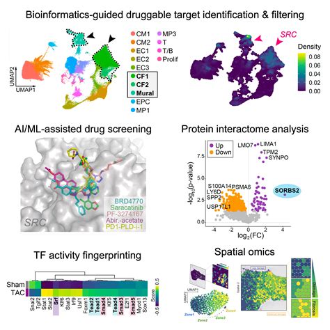 Research Cho Laboratory