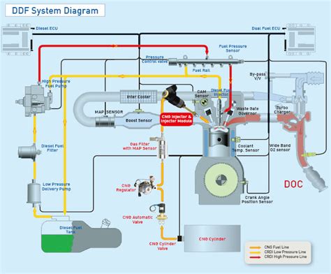 Diesel Fuel System Schematic Diesel Fuel Tank And Piping Sizing