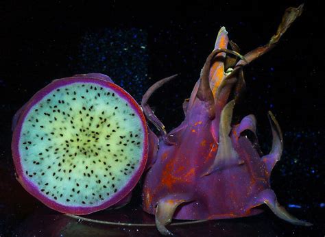 Dragon Fruit Under Uv Light Rinterestingasfuck