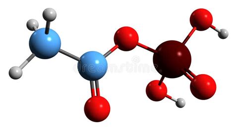 Acetyl Coa Molecule