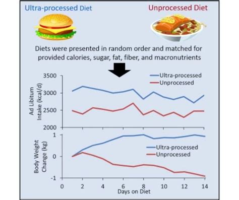Minimally Processed Vs Ultra Processed Foods