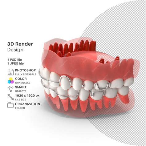 Premium Psd Typodont Tooth Retainer 3d Modeling Psd File Realisti