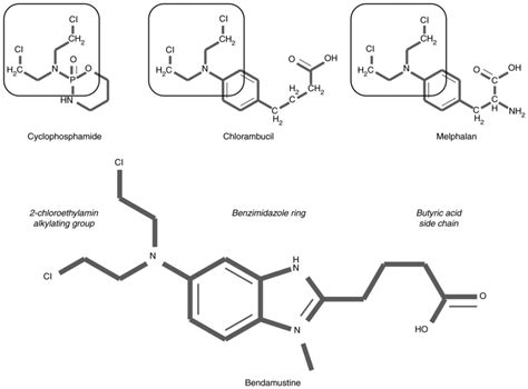 Rituximab Structure