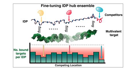 Thermodynamic Models For Assembly Of Intrinsically Disordered Protein