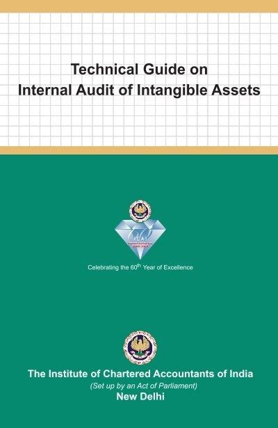 Technical Guide On Internal Audit Of Intangible Assets