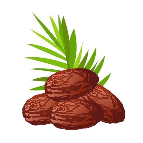 Premium Vector Dates Fruit Vector