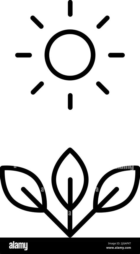 Photosynthesis Iconicon Simple Thin Line Outline Vector Of Biology Icons For Ui And Ux