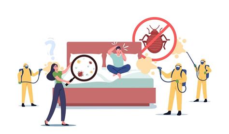 Facing Bed Bug Issues Here Is What You Should Be Doing
