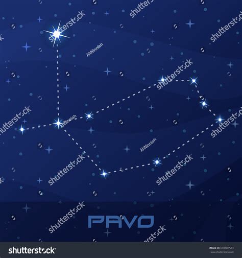 Constellation Pavo Peacock Stock Vector Royalty Free 618883583