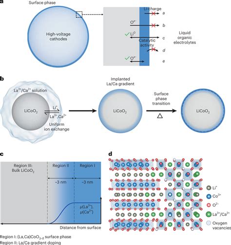 Design Criteria Of Ideal Surface Coating And Our Solution A The Ideal Download Scientific