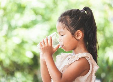 Short Term Disruption To Fluoride Dosing In Bundanoon Wingecarribee Shire Council