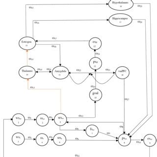 Conceptual Representation Of The Temporal Causal Network Model The Download Scientific Diagram