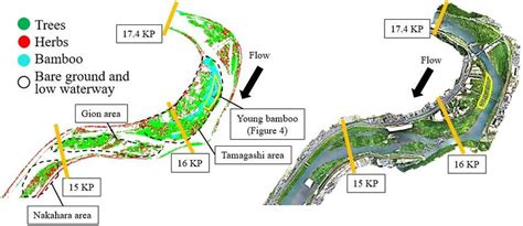 Classification By Alb Data Left And Ortho Image Right Before Download Scientific Diagram
