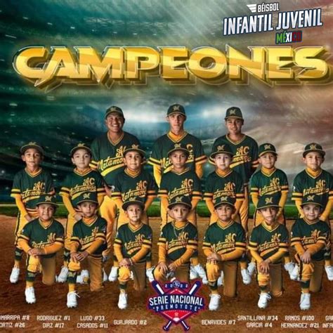 Ligas Ligas Pequeñas De Béisbol De México Aprobada