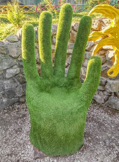 Premium Photo Green Grass Hand