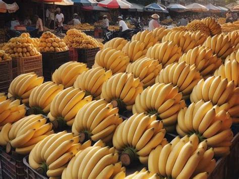 Unlocking The 7 Dynamic Economic And Social Impact Of Cavendish Banana Production