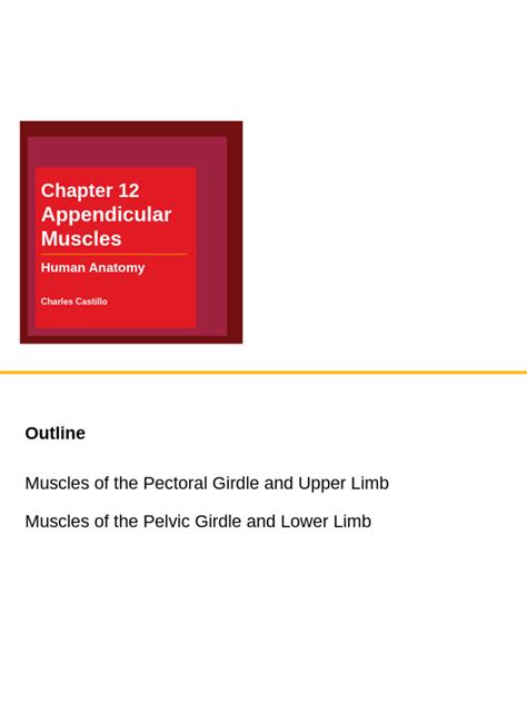 Ch 12 Appendicular Muscles Pdf Thumb Hand
