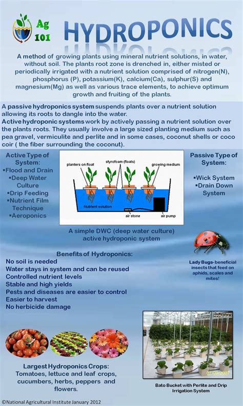 Pin By Hasiyne Ayhan On Education Agriculture Hydroponic Farming Hydroponics Growing Plants