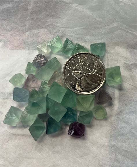 Fluorite Cubes Planet Botanix Ottawa