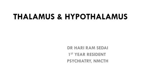 Thalamus And Hypothalamus Topic Presentation Pptx