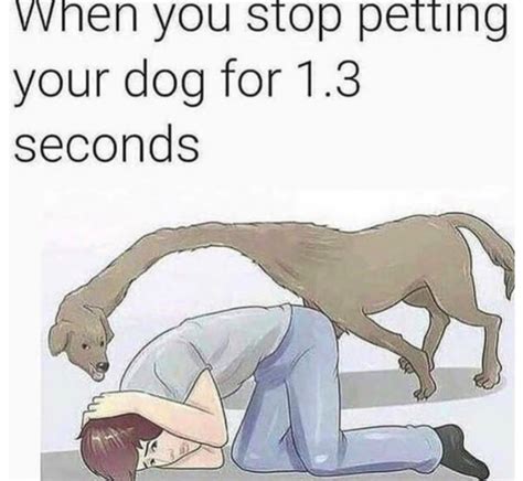 The Best Site To See Rate And Share Memes S And Funny Pics Artofit