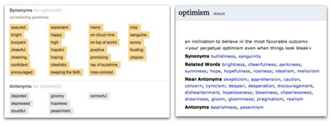 On Optimism And Joy Fine Fit Day
