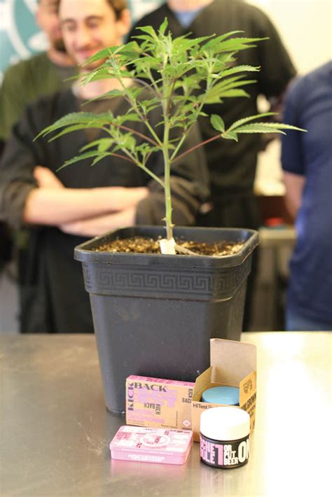 Grassroots Vermont Leaf Nation