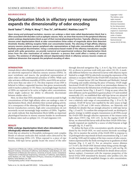 Pdf Depolarization Block In Olfactory Sensory Neurons Expands The Dimensionality Of Odor Encoding