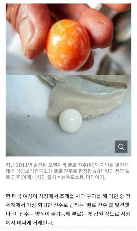 로또 조개”조개구이 먹다 3억대 희귀 진주 발견한 태국 여성 인스티즈instiz 이슈 카테고리