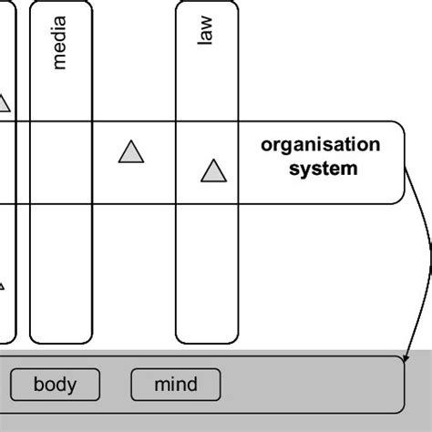 2 Function Systems And Organisation Systems Download Scientific Diagram