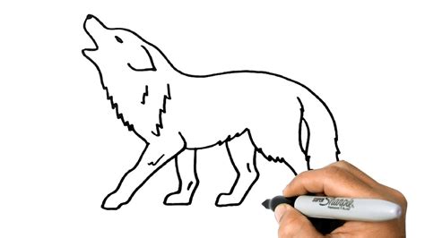 How To Draw A Quick Easy Wolf