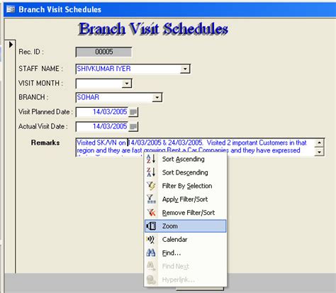 Edit Data In Zoom In Control ~ Learn Ms Access Tips And Tricks