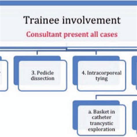 Component Training Algorithm I Access Ii Gall Bladder Dissection