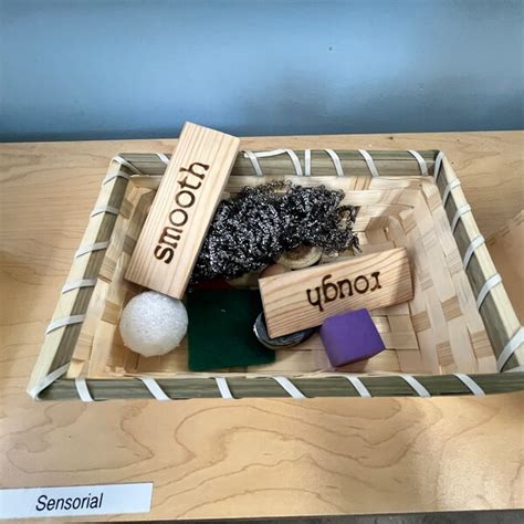 Animal Classification Sorting Set Montessori Object Classification
