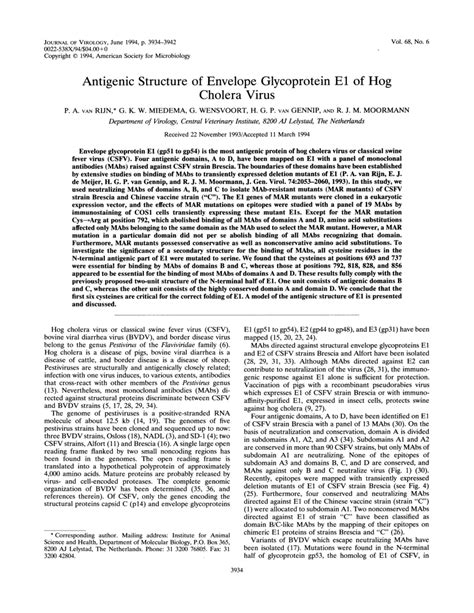 Pdf Antigenic Structure Of Envelope Glycoprotein E1 Of Hog Cholera Virus
