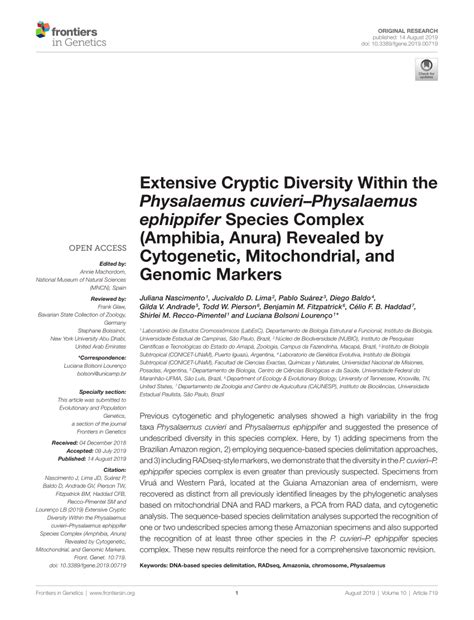 Pdf Extensive Cryptic Diversity Within The Physalaemus Cuvieri Physalaemus Ephippifer Species