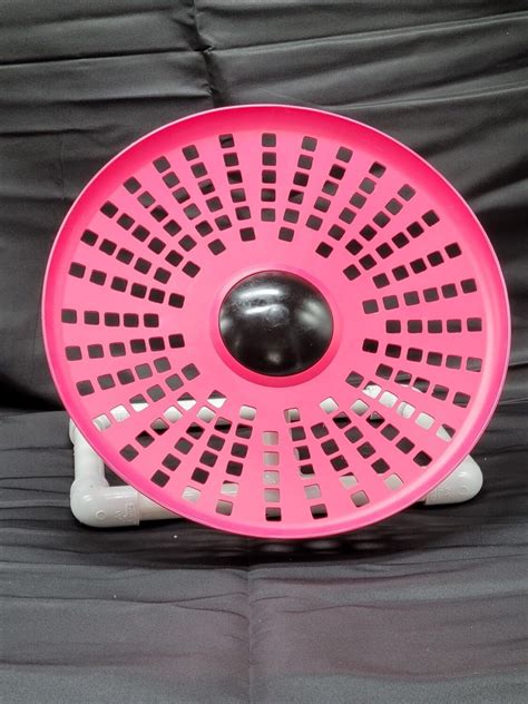 Fuchsia Freedom Disk No 1 Recommended Wheel For Sugar Gliders By