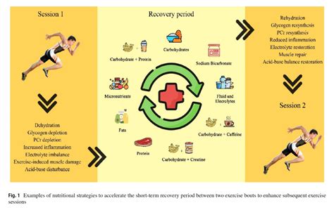 Nutritional Strategies To Improve Post Exercise Recovery And Subsequent