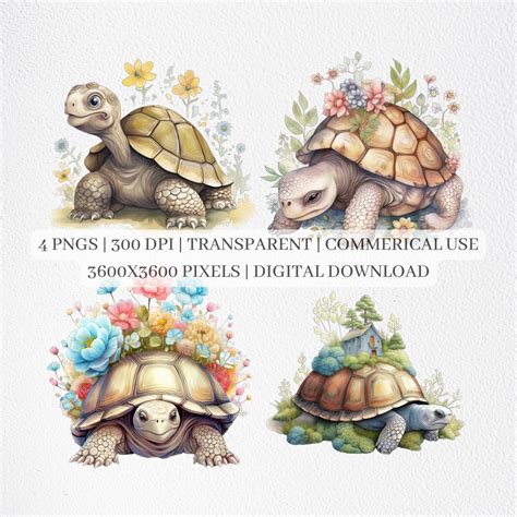 Tortoise Clipart Tortoise Png Files For Sublimation Floral Tortoise