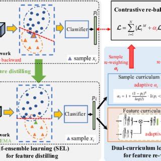 The Proposed Sedc Consists Of Three Parts Self Ensemble Learning Sel Download Scientific