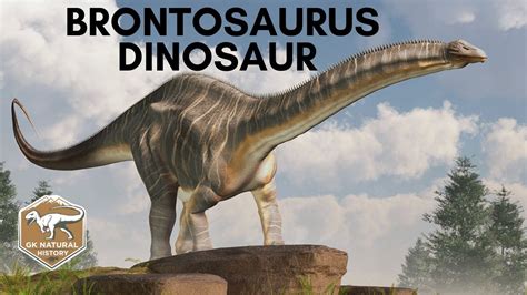 Brontosaurus Facts A Giant Sauropod Dinosaur Of The 42 Off