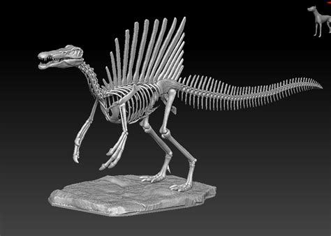 💀 Spinosaurus Skeleton Full 3d Spinosaurus Dinosaur Bones・ Stl File