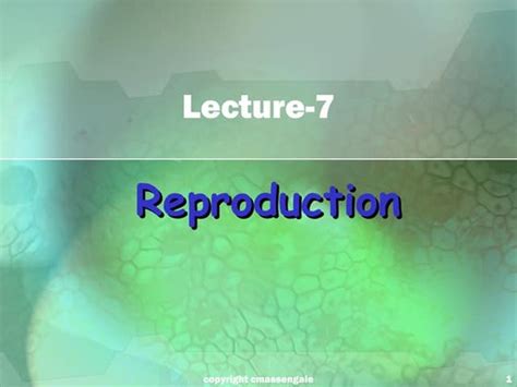 Sexual Reproduction In Fungi Pptx Infertility Reproductive Health