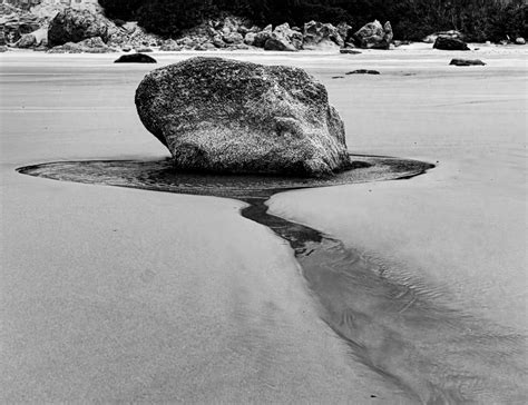 Clints Gallery Martha Clarkson