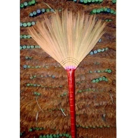 Fan Shape Grass Broom Packaging Type Packet At ₹ 45piece In