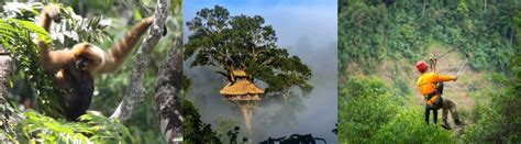 Menjelajahi Wisata Bokeo Di Laos