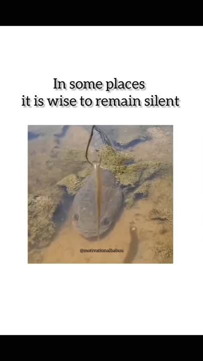 Arif Sharief On Linkedin Arifsharief Java Javascript Git