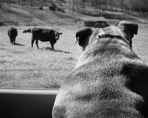 Nola Mae Suttles Todd Suttles